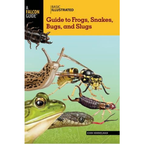 Basic Illustrated Guide To Frogs, Snakes, Bugs and Slugs – Hobby House ...