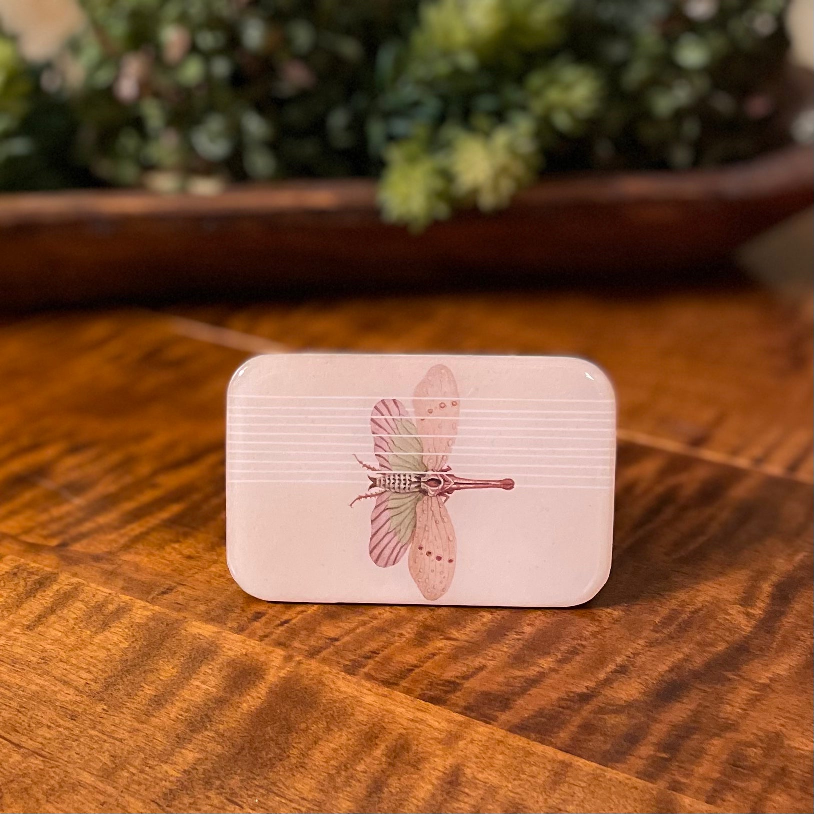 Tin Container with Magnet Large | Spring Moth – Hobby House Needleworks